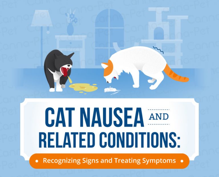 Cat Nausea & Natural Treatments | Canna-Pet