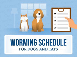 Worming Schedules for Cats & Dogs | Canna-Pet