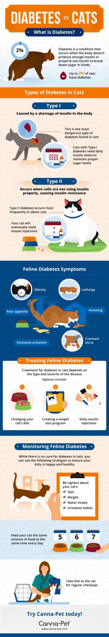 How Much To Feed My Diabetic Cat