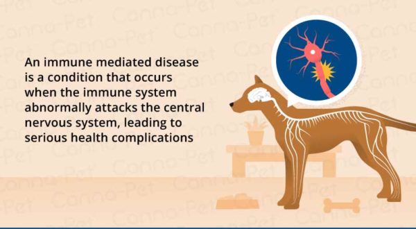 Immune Mediated Disease in Dogs | Canna-Pet®
