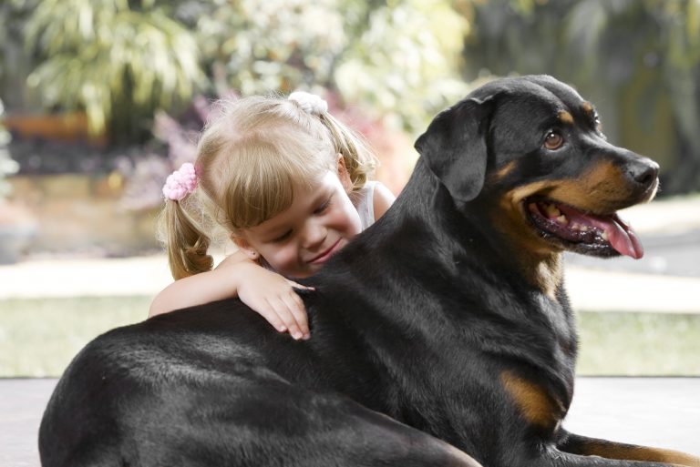 Are Rottweilers Good With Kids? | Canna-Pet®