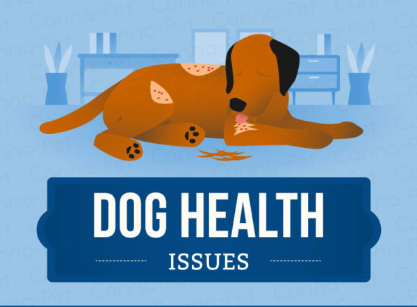 Dog Health Issues - Canna-Pet®