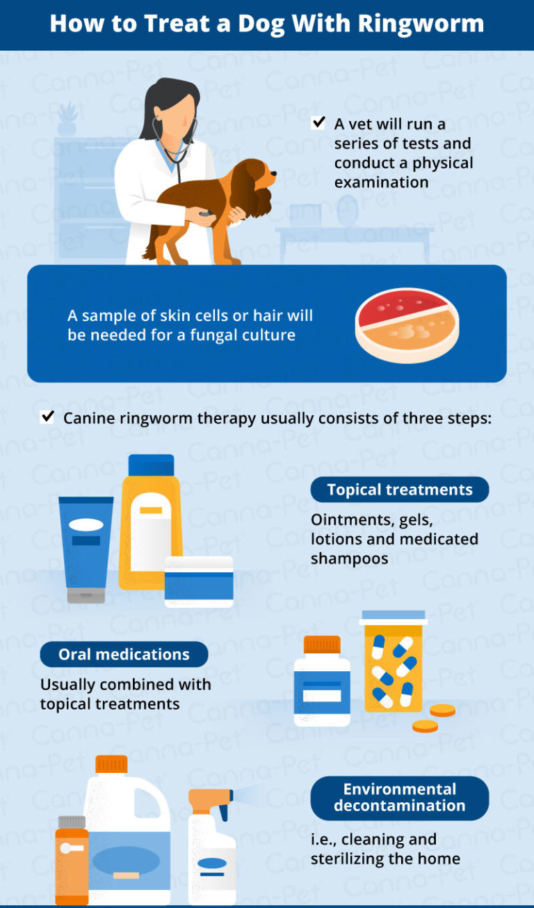 Ringworm in Dogs: Causes, Signs, & Treatment | Canna-Pet®
